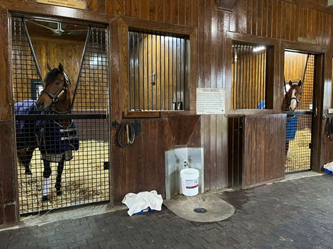 Epicenter Off to Ashford After Mending at Shantera Farm - BloodHorse