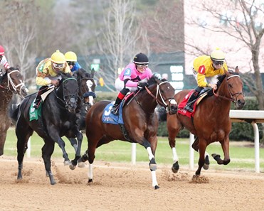 Lovely Ride - Horse Profile - BloodHorse