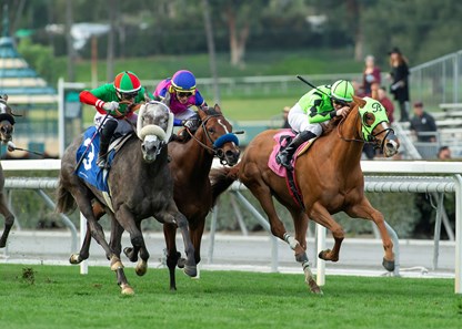 Grazed My Heart - Horse Profile - BloodHorse