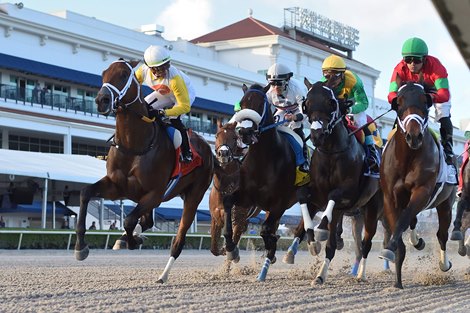 Trainer Compliance Program for HISA Introduced - BloodHorse