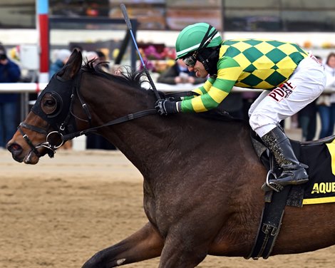 Repo Rocks Leading the Charge in the Stymie - BloodHorse