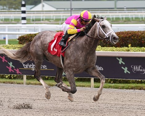 Heating Up on the Triple Crown Trail - BloodHorse