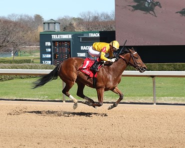 Traverse - Horse Profile - BloodHorse