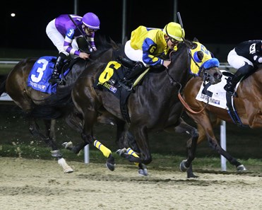 Queen Tapiture - Horse Profile - BloodHorse