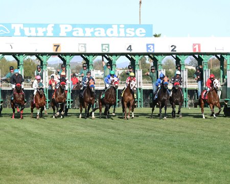 Turf Paradise Reaches Compliance Agreement With HISA - BloodHorse
