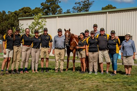 Capitalist Approach Pays Off for Grenville Stud - BloodHorse