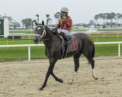 Derby Defections Common But Still Hard to Swallow - BloodHorse