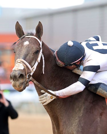 Willis Horton Racing's Legacy Endures in Last Samurai - BloodHorse