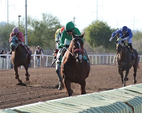 Rillito GM 'Very Excited' by StrideSAFE Introduction - BloodHorse