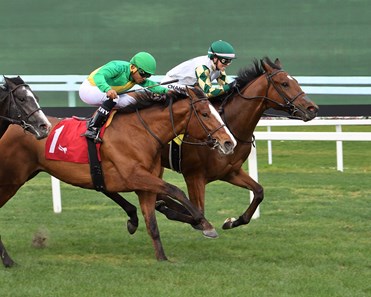 Baby Billy - Horse Profile - BloodHorse