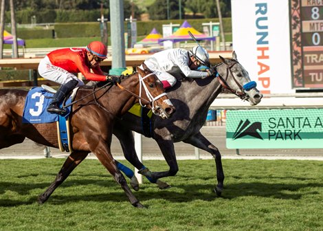 Ag Bullet Holds Off The Wild Grazer in Lady of Shamrock - BloodHorse