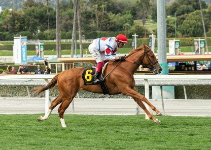 Princess Bettina - Horse Profile - BloodHorse