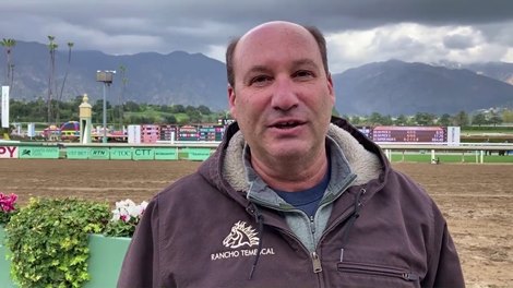 Owner Tim Cohen on Buena Vista S. Winner Quattroelle - Video - - BloodHorse