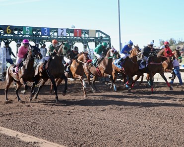 Cross Examine - Horse Profile - BloodHorse
