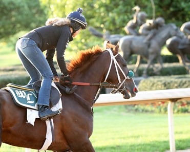 Secret Oath - Horse Profile - BloodHorse