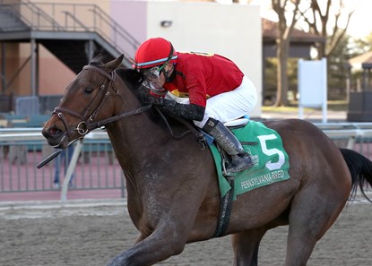 Tappin Josie - Horse Profile - BloodHorse