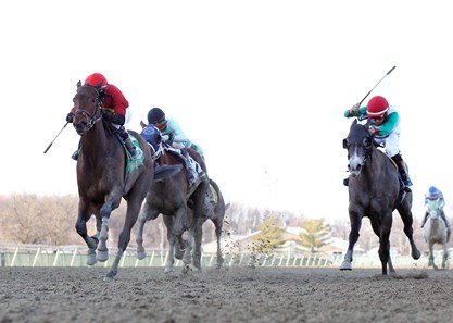 Tappin Josie - Horse Profile - BloodHorse