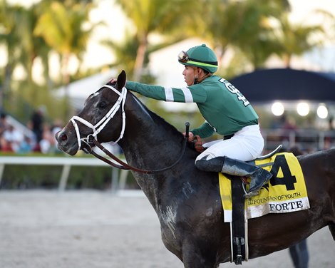 Forte Needs a Strong Race to Keep Moving Forward - BloodHorse