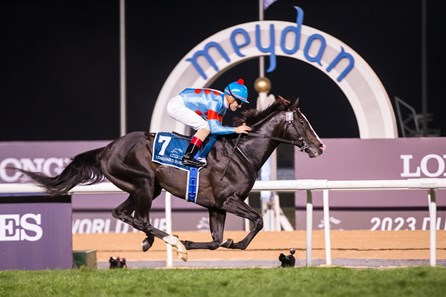 Equinox (JPN) - Horse Profile - BloodHorse