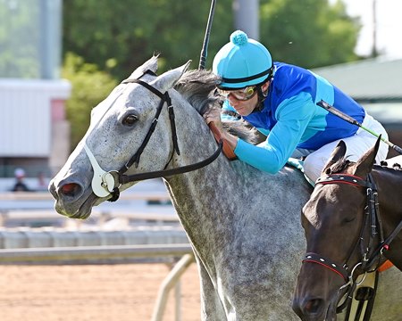 Sunlit Song Named Texas-bred Horse of the Year - BloodHorse