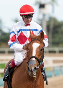 Princess Bettina - Horse Profile - BloodHorse