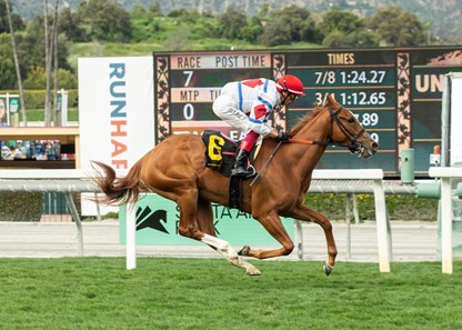 Princess Bettina - Horse Profile - BloodHorse