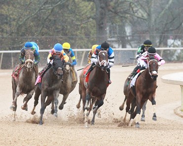 Secret Oath - Horse Profile - BloodHorse