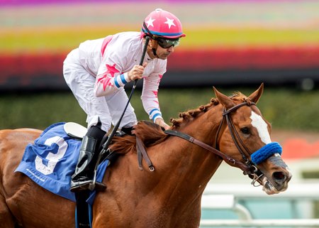 Spirit of Makena Takes Stakes Debut in San Carlos - TrueNicks.com