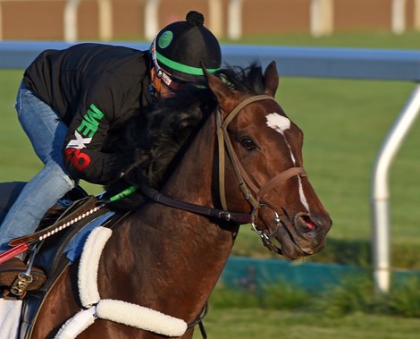 The Road: A Big Saturday Will Shape Derby Field - BloodHorse