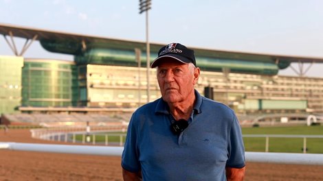 Roger Attfield on Shirl's Speight - Video - - BloodHorse