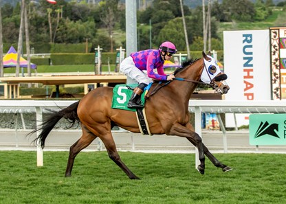 Motorious (GB) - Horse Profile - BloodHorse