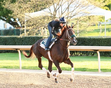 Secret Oath - Horse Profile - BloodHorse
