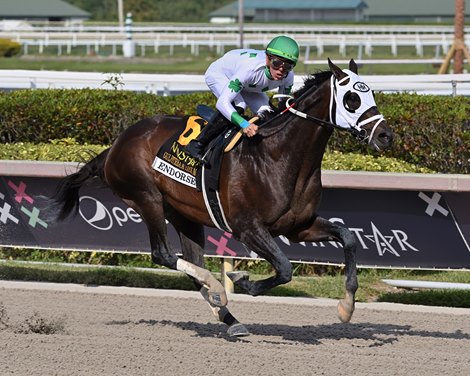 Endorsed Entering Stud at Northview Stallion Station - BloodHorse