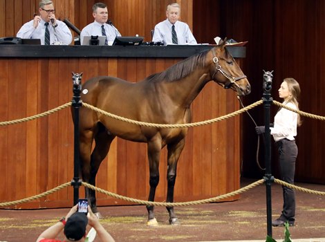 Justify Colt Commands $1.2M to Top Day 1 at OBS March - BloodHorse