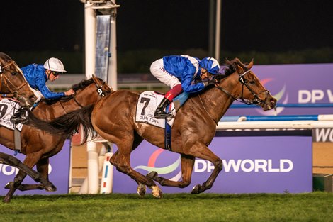 Three-Time Dubai Turf Winner Lord North Retired - BloodHorse