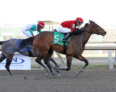 Tappin Josie - Horse Profile - BloodHorse