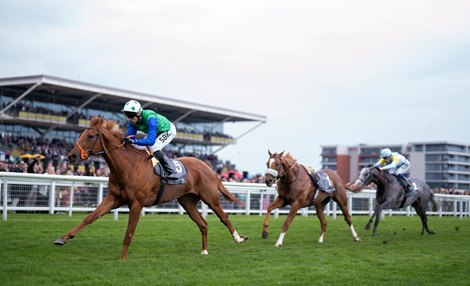 Isaac Shelby Sold to Qatar's Wathnan Racing - BloodHorse