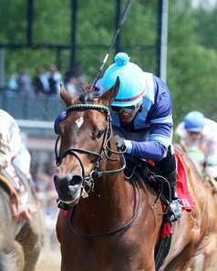 Brightwork - Horse Profile - BloodHorse