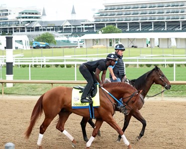 Disarm - Horse Profile - BloodHorse