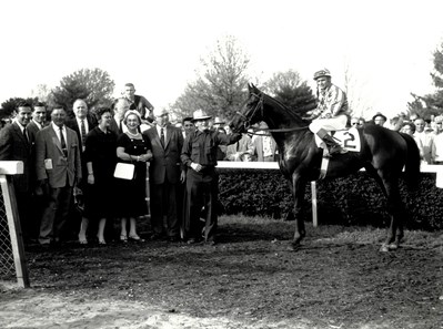 Round Table - Horse Profile - BloodHorse