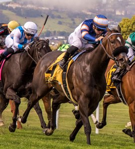 Amidst Derby Craze, Grazen Adds Stakes Winners to Tally - BloodHorse