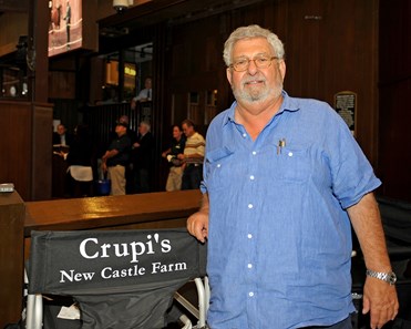 Crupi - Horse Profile - BloodHorse