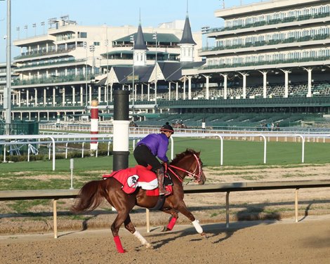 Japan's Derma Sotogake, Continuar Settle Into Churchill - BloodHorse