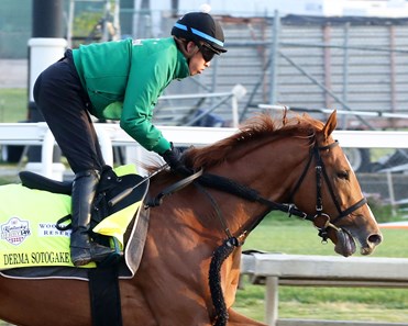 Derma Sotogake (JPN) - Horse Profile - BloodHorse