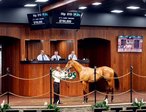 Justify Colt Gives Wallace a Familiar Feeling at OBS - BloodHorse