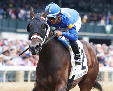 Arden's Assault - Horse Profile - BloodHorse