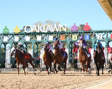 Eyeing Clover - Horse Profile - BloodHorse