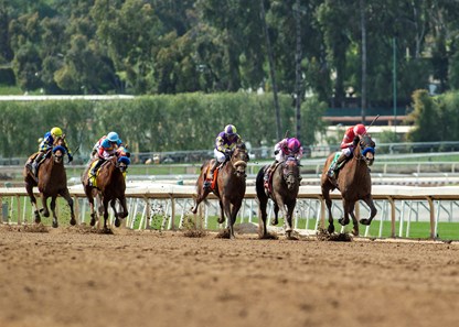 Practical Move - Horse Profile - BloodHorse