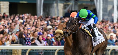 Champion Goodnight Olive Victorious in Madison Return - BloodHorse