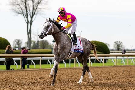 Tapit Trice - Horse Profile - BloodHorse